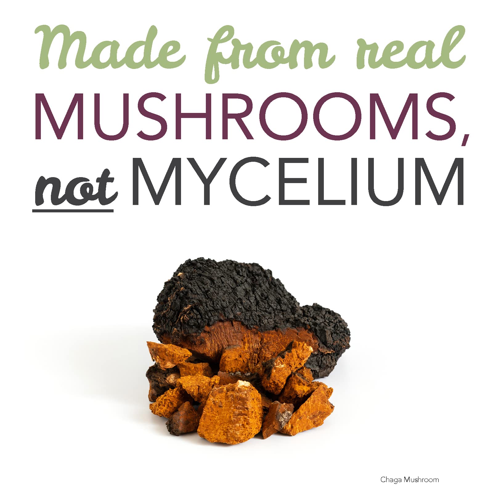 vegan chaga mushroom health capsules