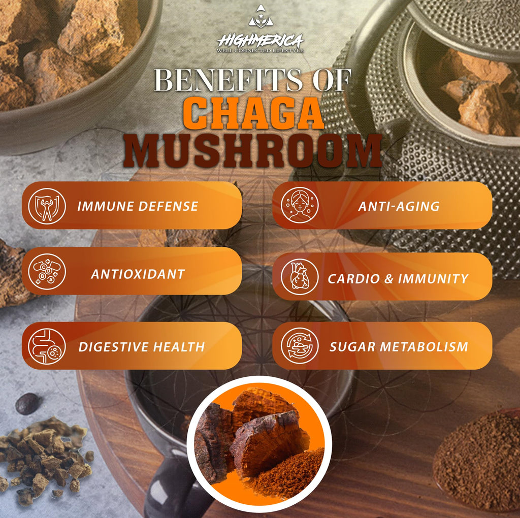 Vegan chaga mushroom supplement capsules