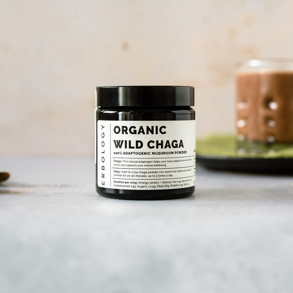 vegan chaga mushroom supplement for health