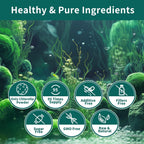 vegan chlorella powder for health