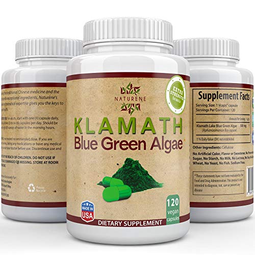vegan chlorella supplement for focus