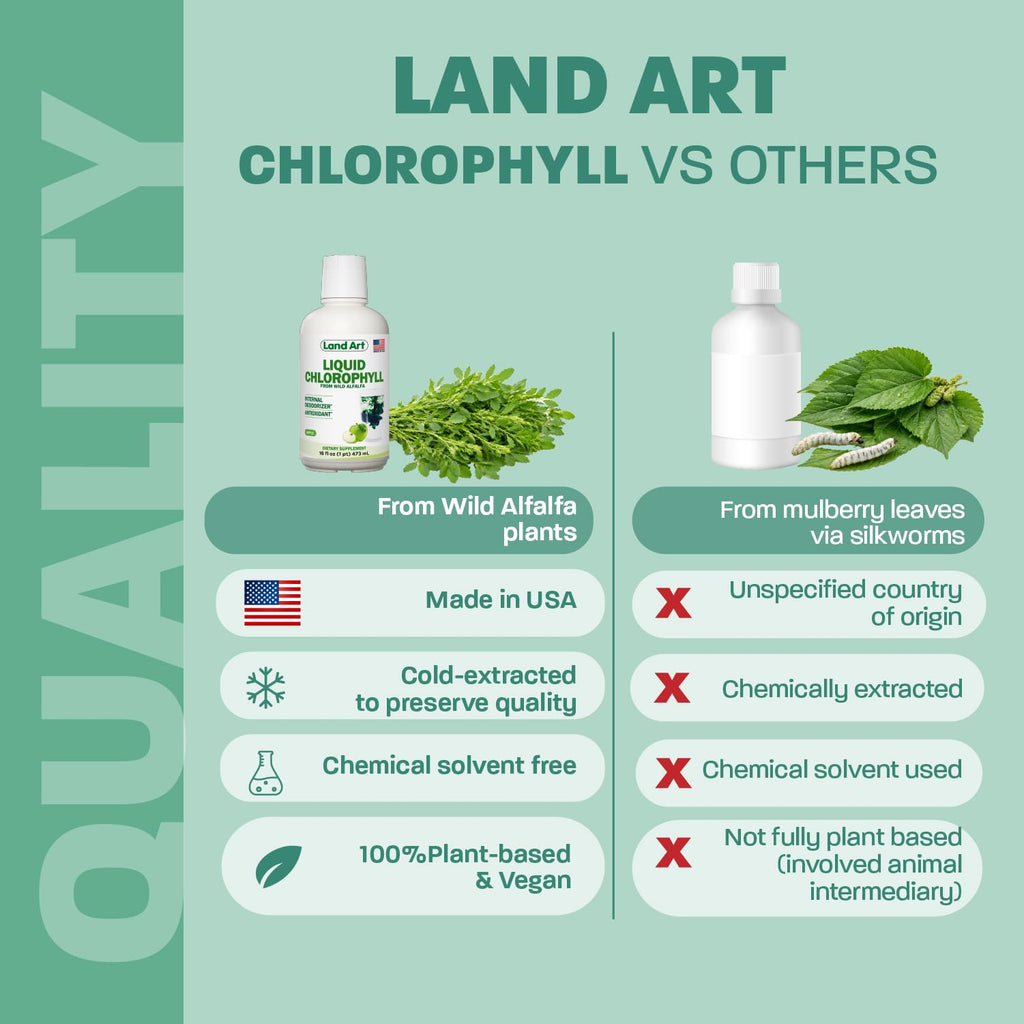 Vegan chlorophyll for daily nutrition