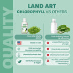 Vegan chlorophyll for daily nutrition