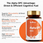 vegan choline supplement for brain health