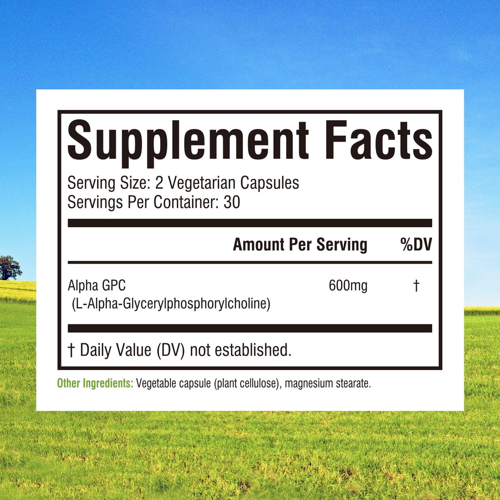 vegan choline supplement for energy