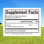vegan choline supplement for energy