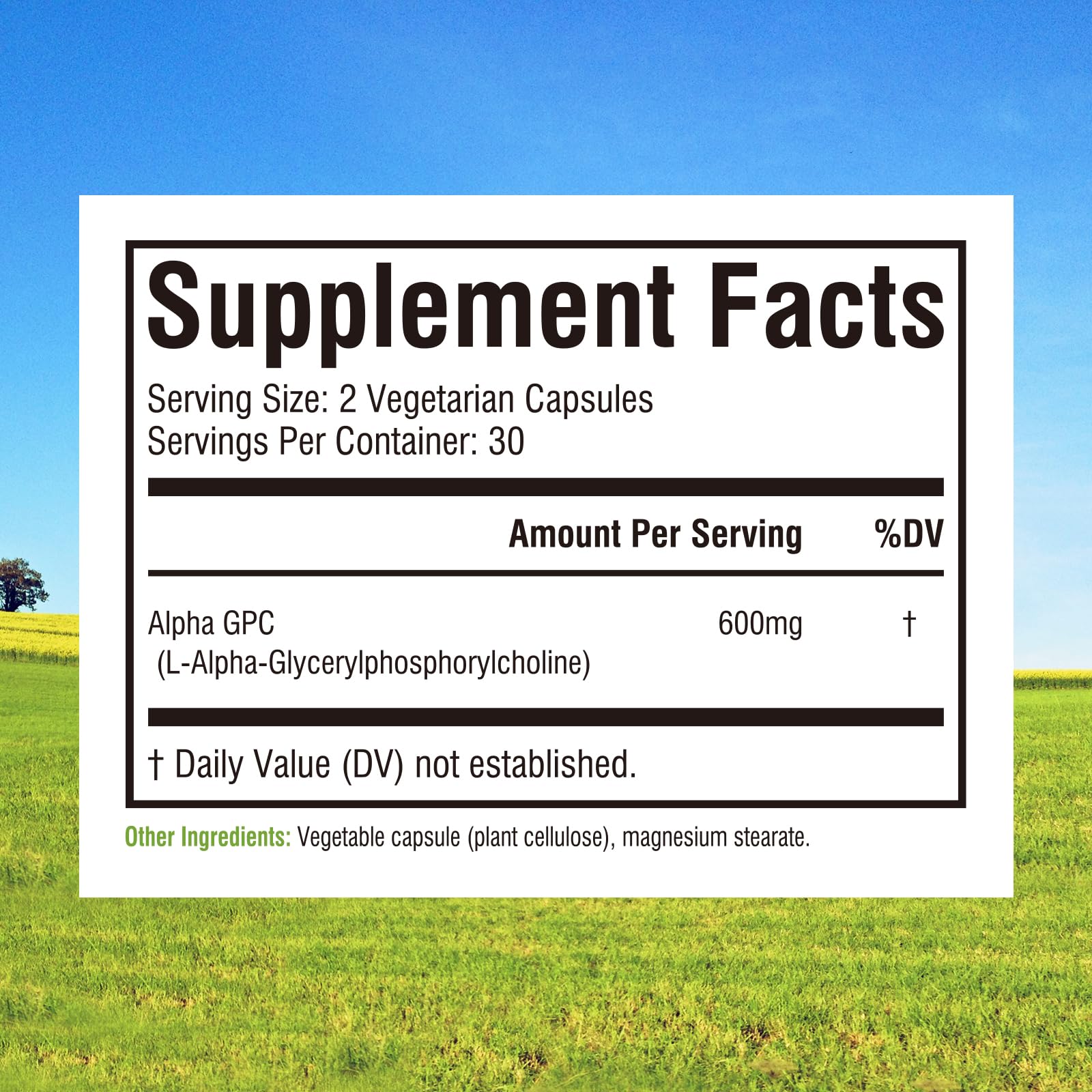 vegan choline supplement for energy