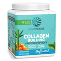 Vegan collagen building powder benefits