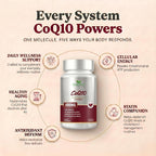 vegan coq10 supplement for energy