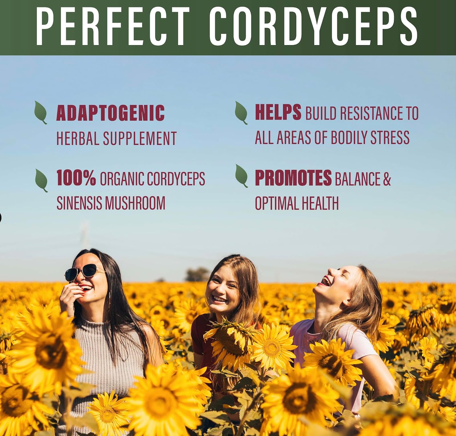 vegan cordyceps for daily wellness