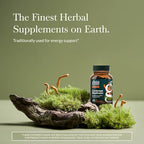 vegan cordyceps for energy boost