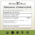 vegan cordyceps for energy boost