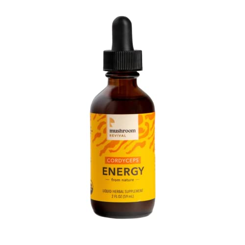 vegan cordyceps mushroom extract for energy