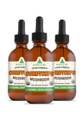 Vegan cordyceps mushroom supplement benefits