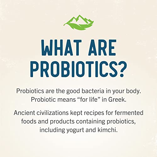vegan dietary supplement for wellness