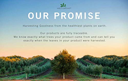 vegan dietary supplement with olive oil