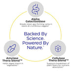 vegan digestive enzymes for gut health
