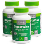 vegan digestive enzymes for gut health