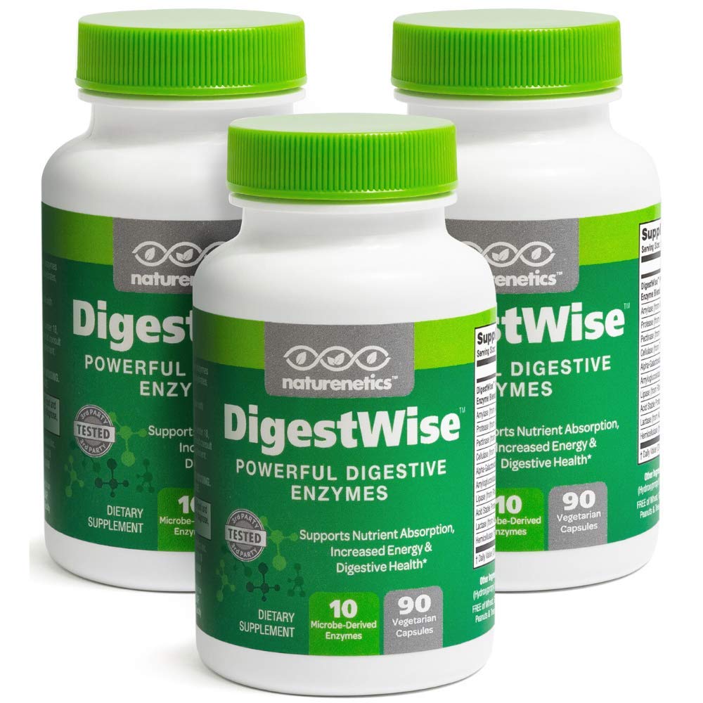 vegan digestive enzymes for gut health