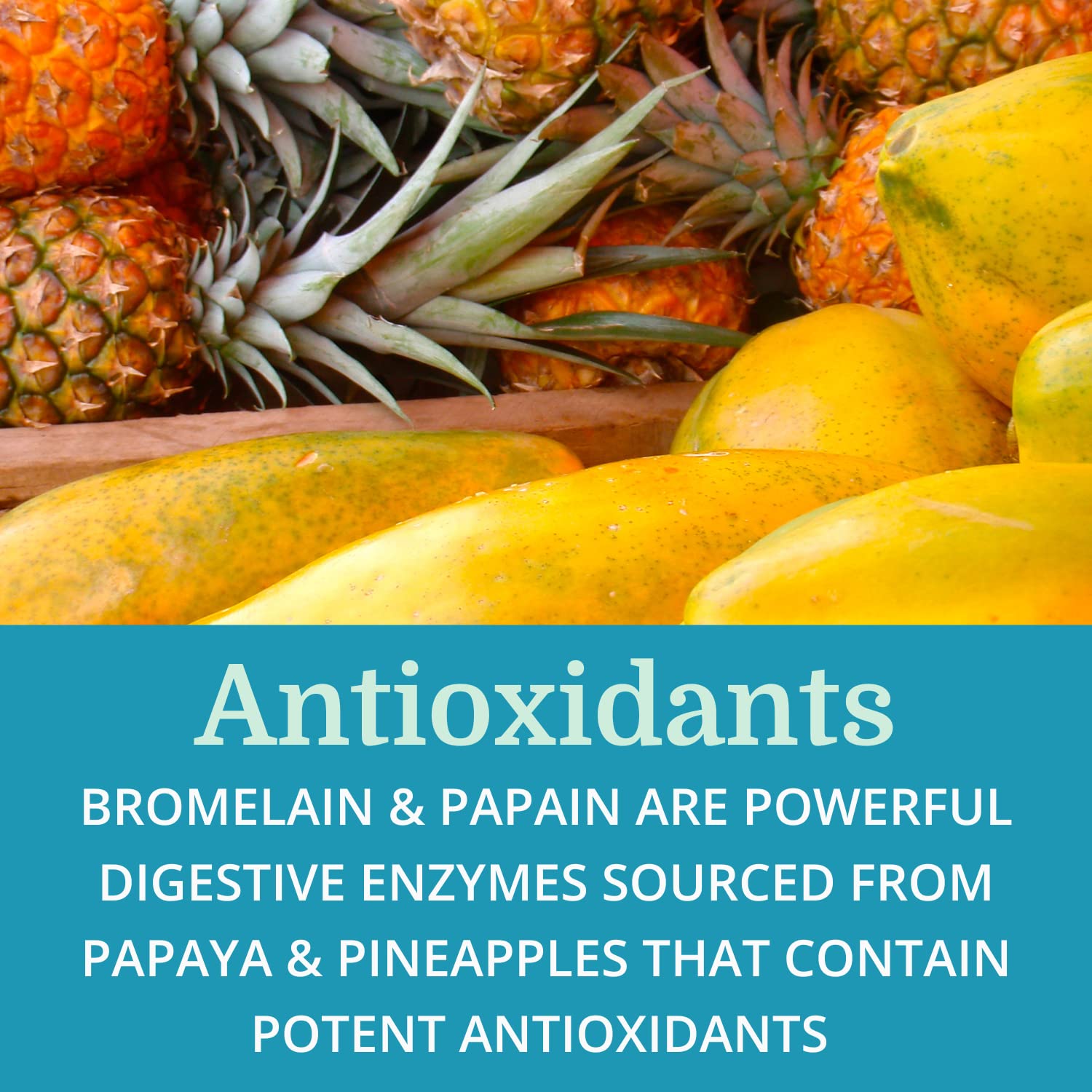 vegan digestive enzymes for wellness