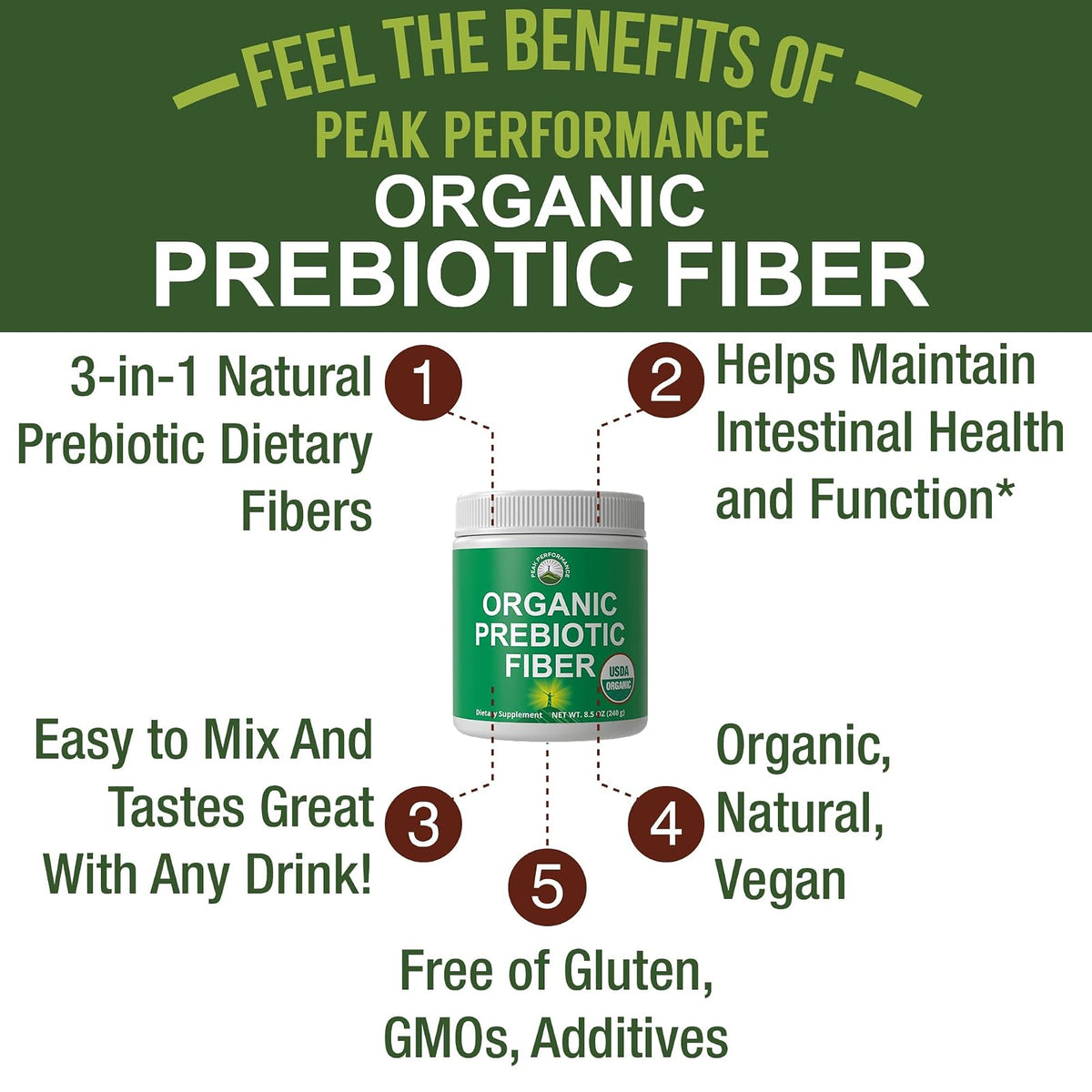 vegan digestive health fiber supplement