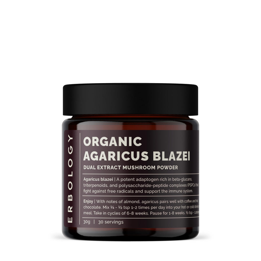 vegan dual extract mushroom supplement