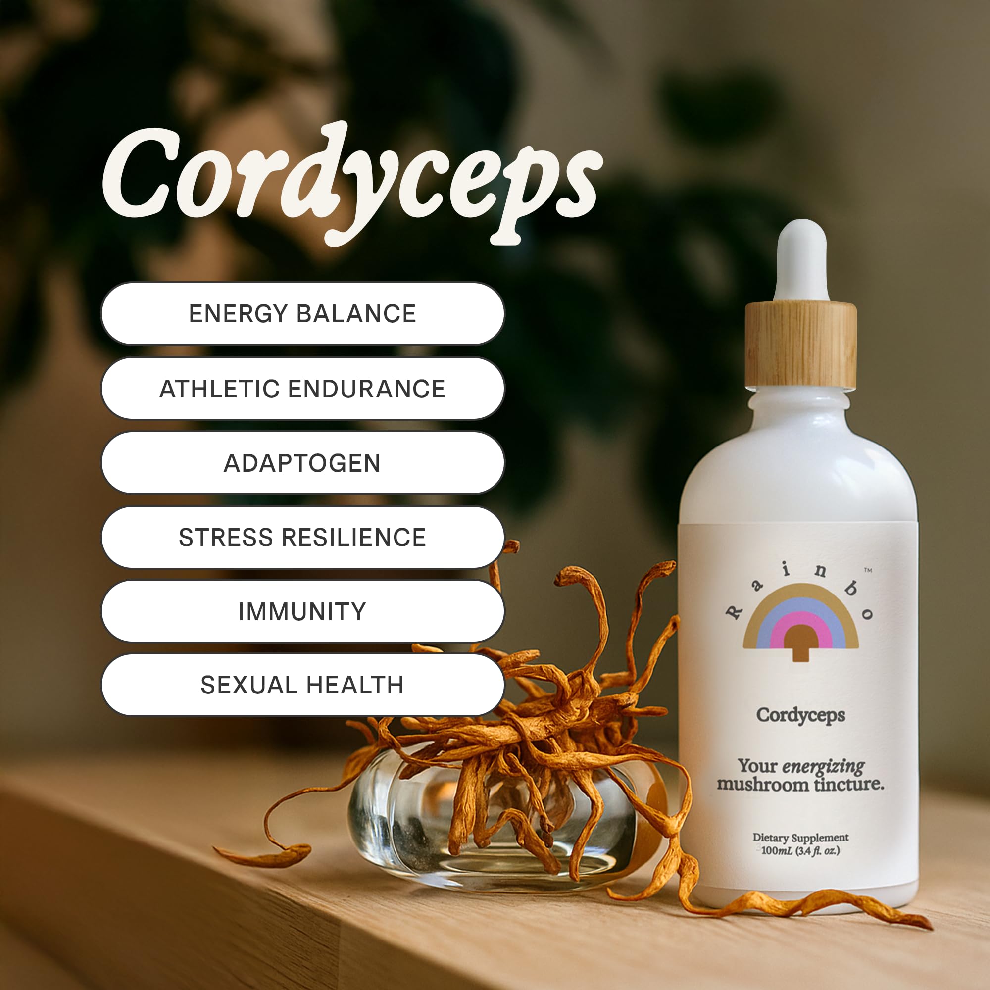 Vegan dual extract mushroom supplement