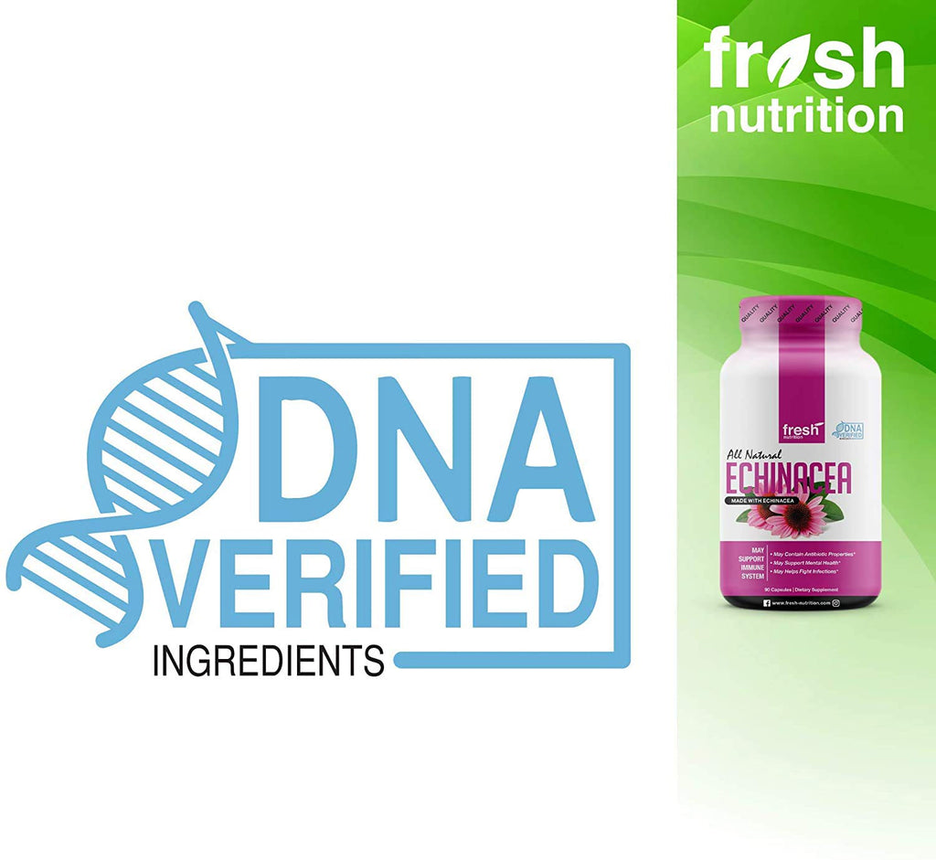 Vegan echinacea capsules 500mg
