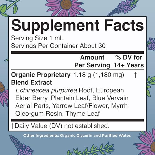 vegan echinacea for immune support