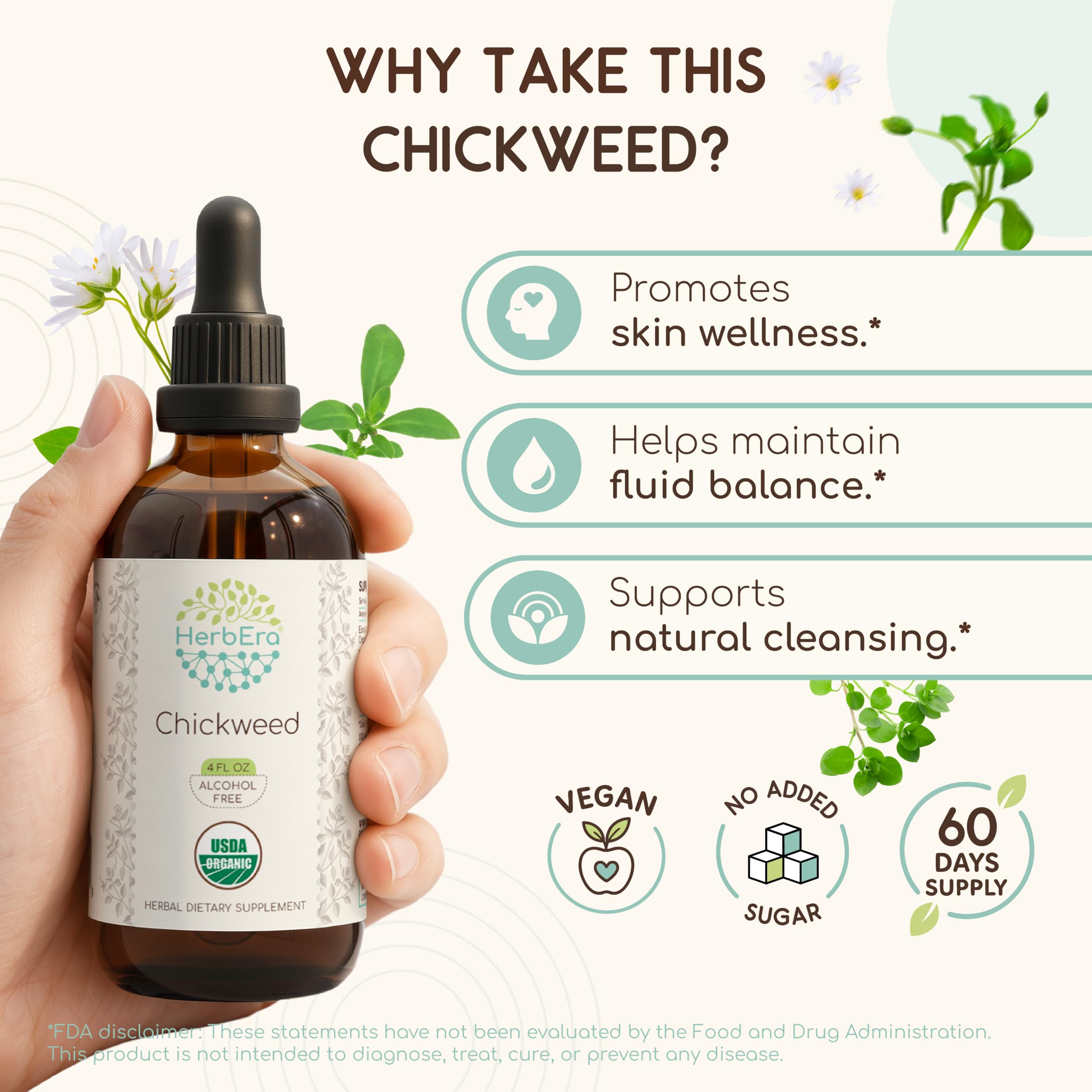 vegan echinacea tincture for wellness