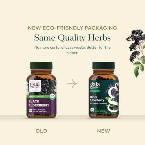 vegan elderberry capsules for daily use