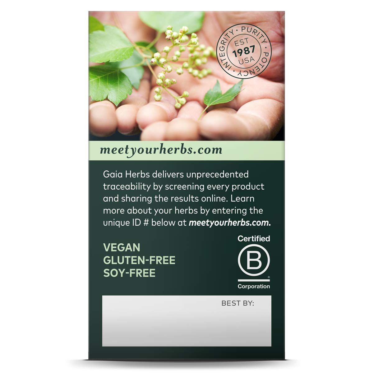 vegan elderberry capsules for health