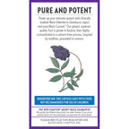 vegan elderberry capsules for wellness support