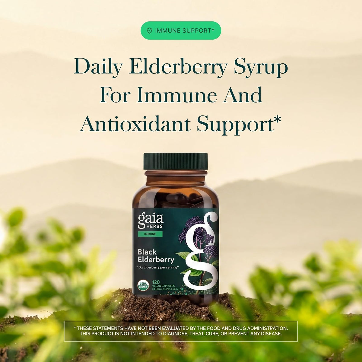 vegan elderberry capsules for wellness