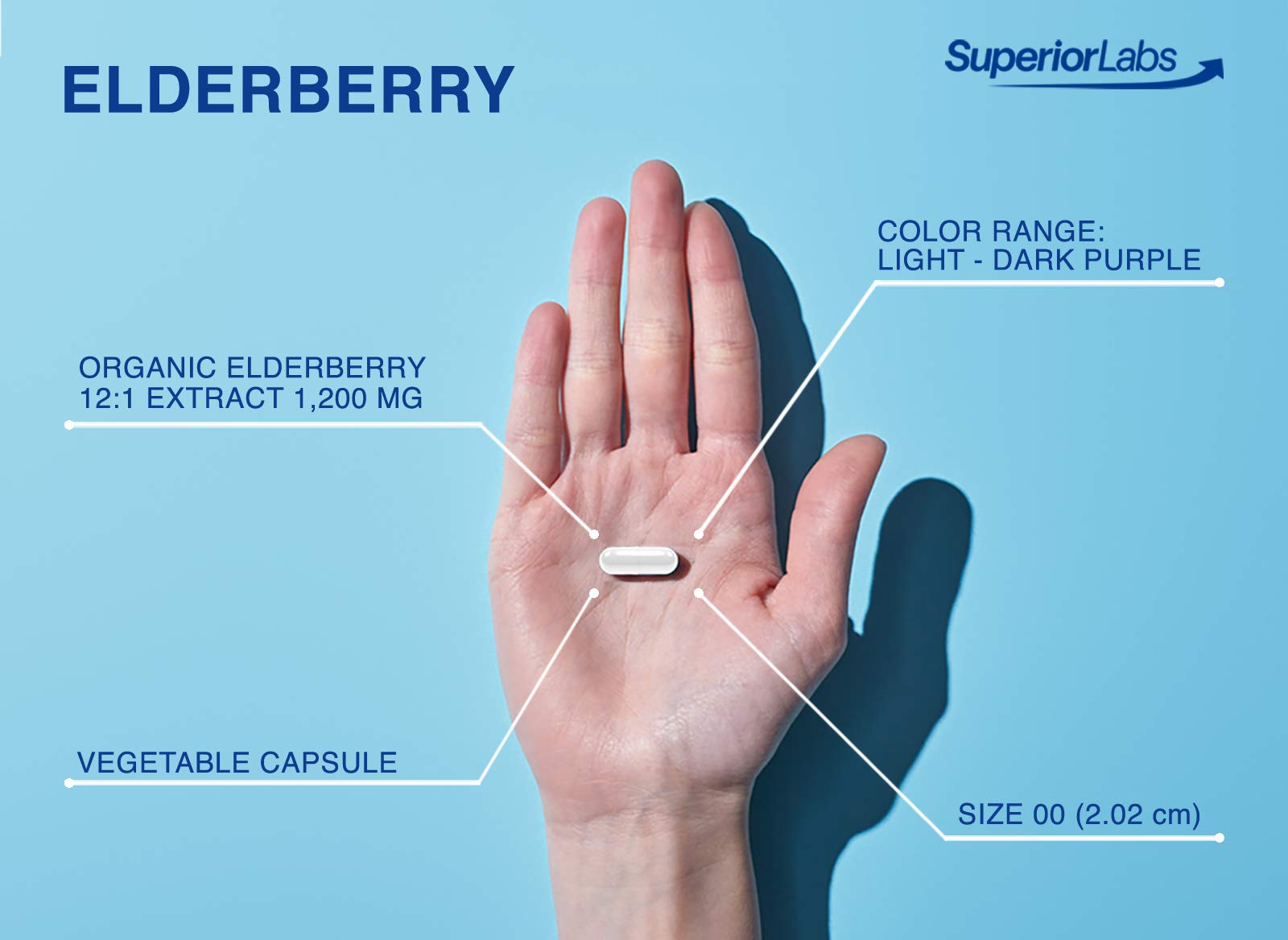 vegan elderberry capsules for wellness