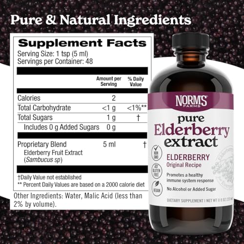 vegan elderberry extract for immune support