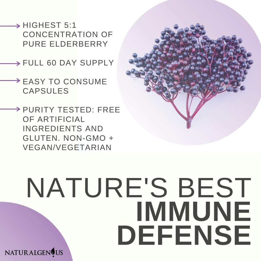 Vegan elderberry for everyday vitality