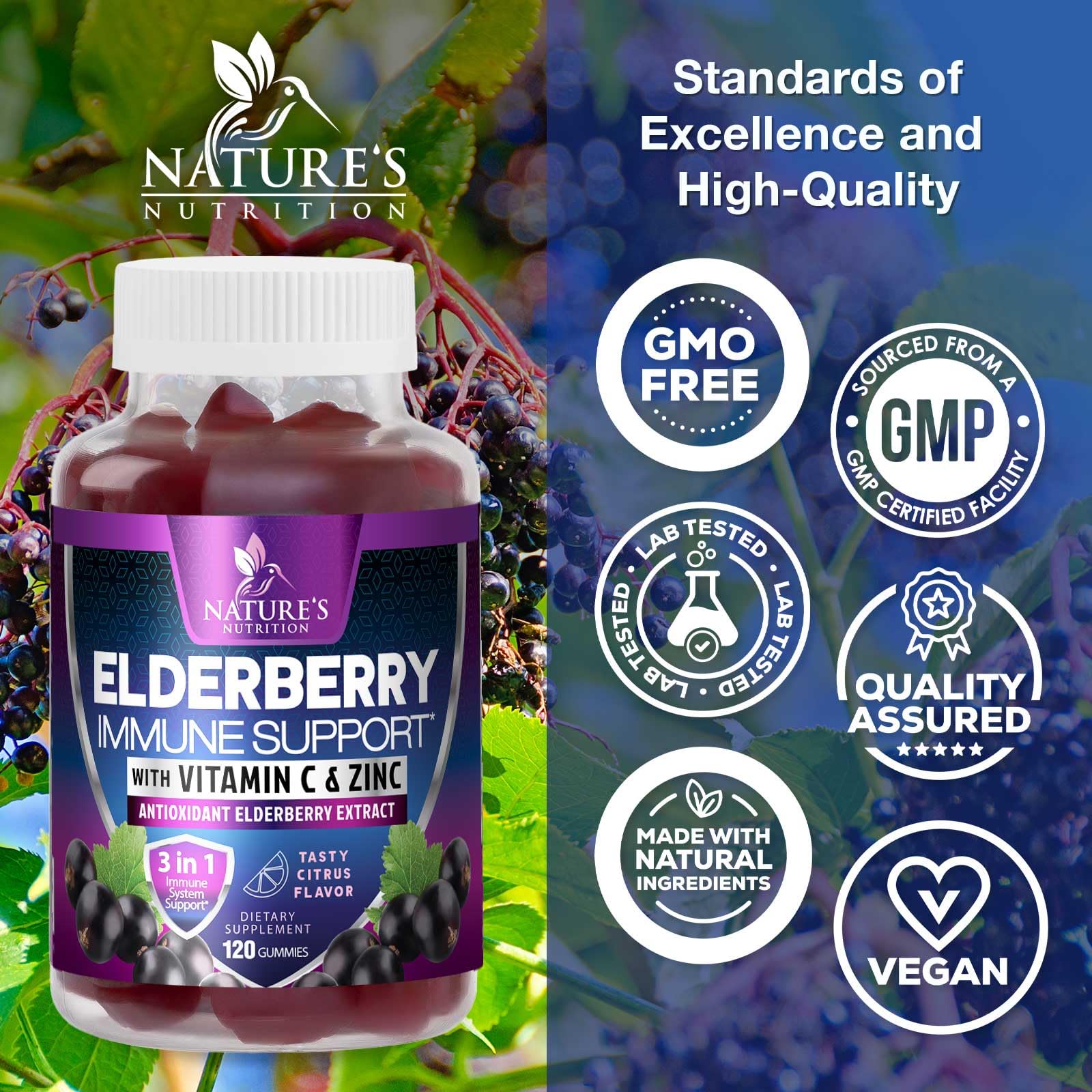 vegan elderberry gummies for daily wellness