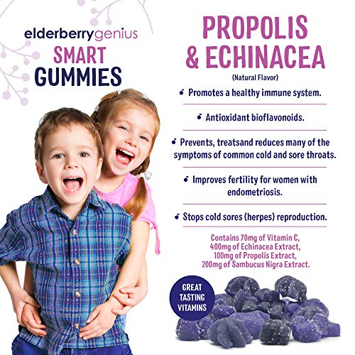 vegan elderberry gummies for health