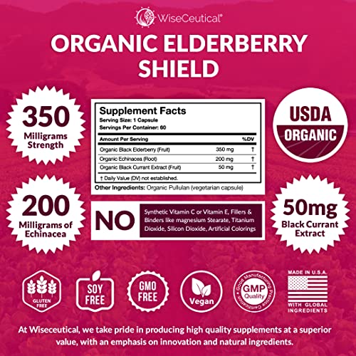 vegan elderberry health boost