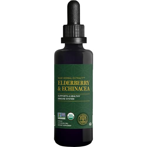 vegan elderberry liquid supplement for kids