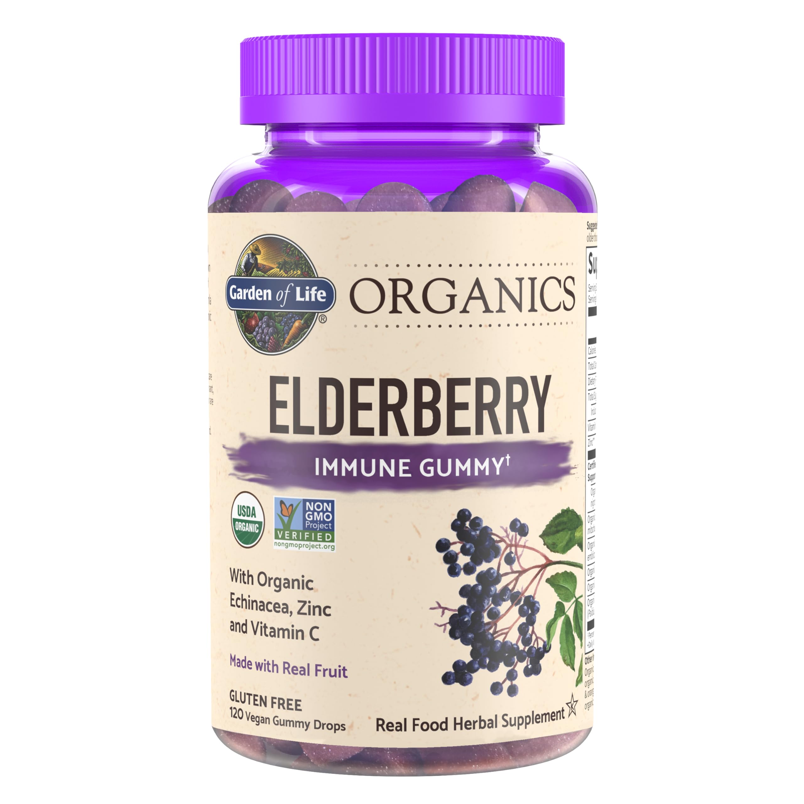 vegan elderberry supplements for kids