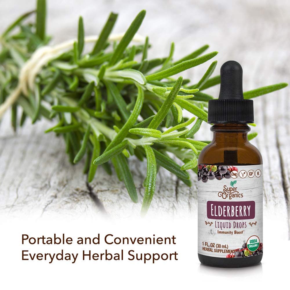 vegan elderberry syrup alternative
