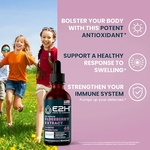 vegan elderberry syrup for health