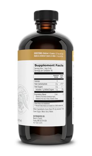 vegan elderberry syrup for wellness