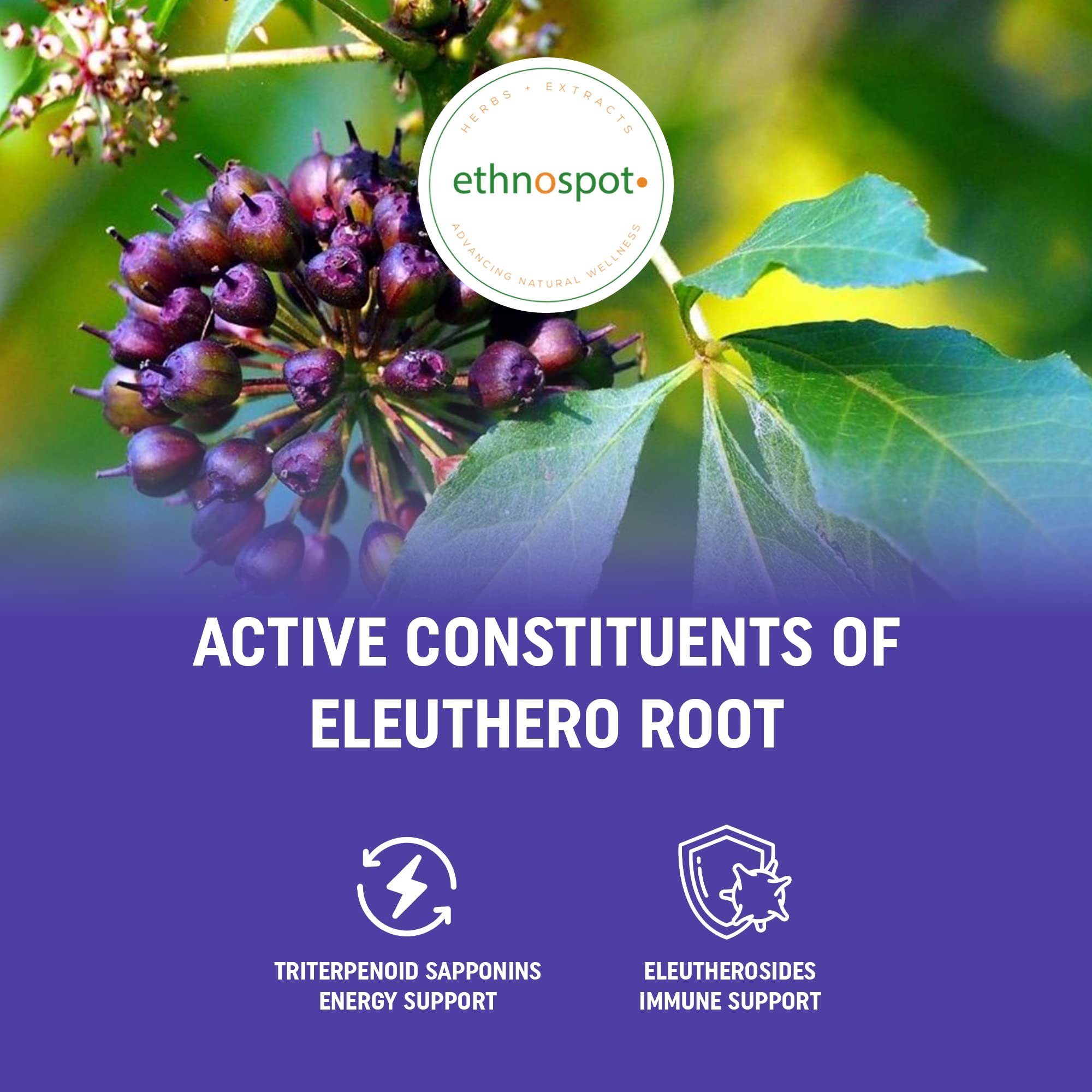 vegan eleuthero root for endurance