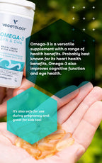 vegan fish oil for heart health