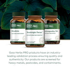 vegan formula for brain health