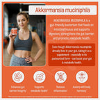 vegan-friendly Akkermansia capsules