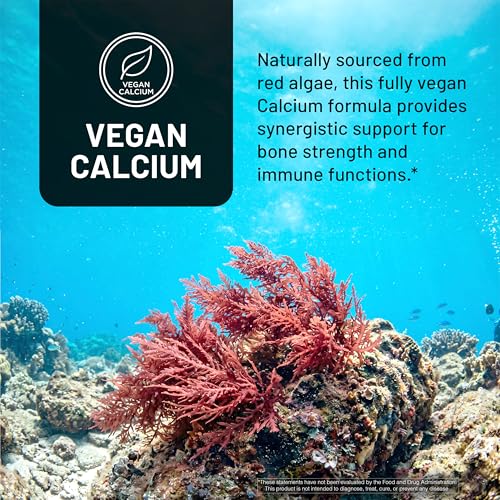 vegan-friendly algae calcium capsules